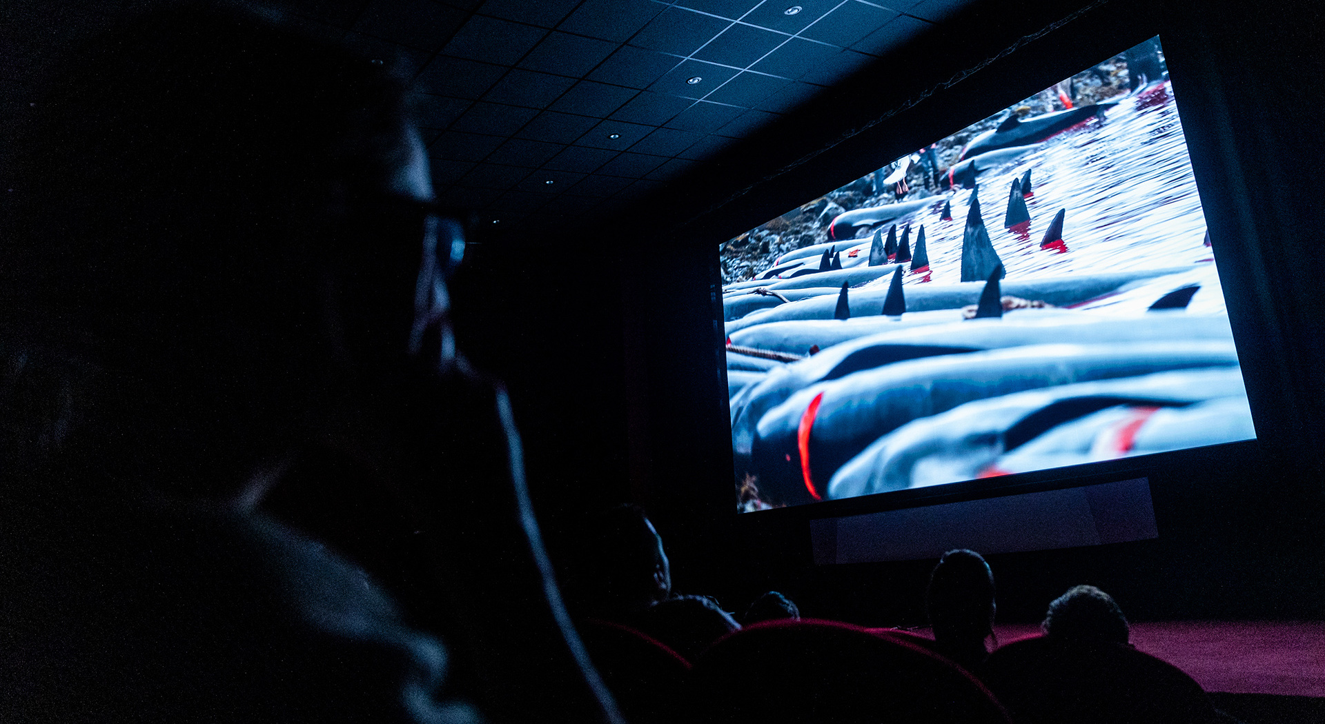 Festival · One World 2024